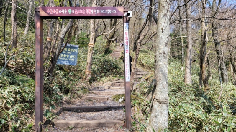 어승생악 꼭 가봐야 할 오름 한라산 탐방로 초보 코스 제주 오름 추천 네이버 블로그
