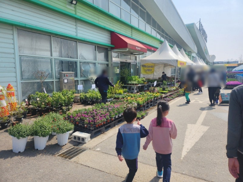 고양 하나로 플라워마트한국화훼농협 본점 일산 꽃시장 구입후기아파트 1층정원 네이버 블로그