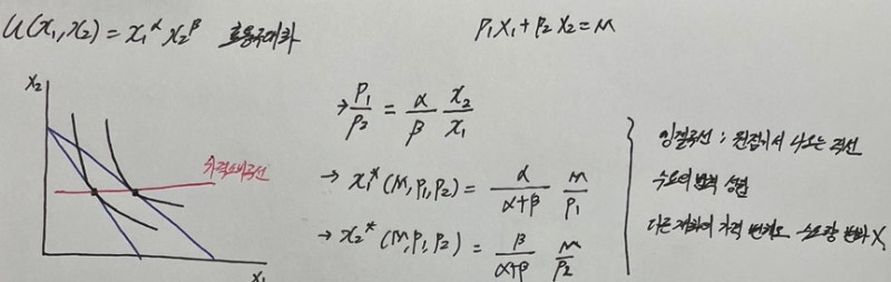 효용함수와 효용극대화 총정리 무차별곡선이 직선레온티에프콥더글라스인 경우 미시경제학 11 네이버 블로그