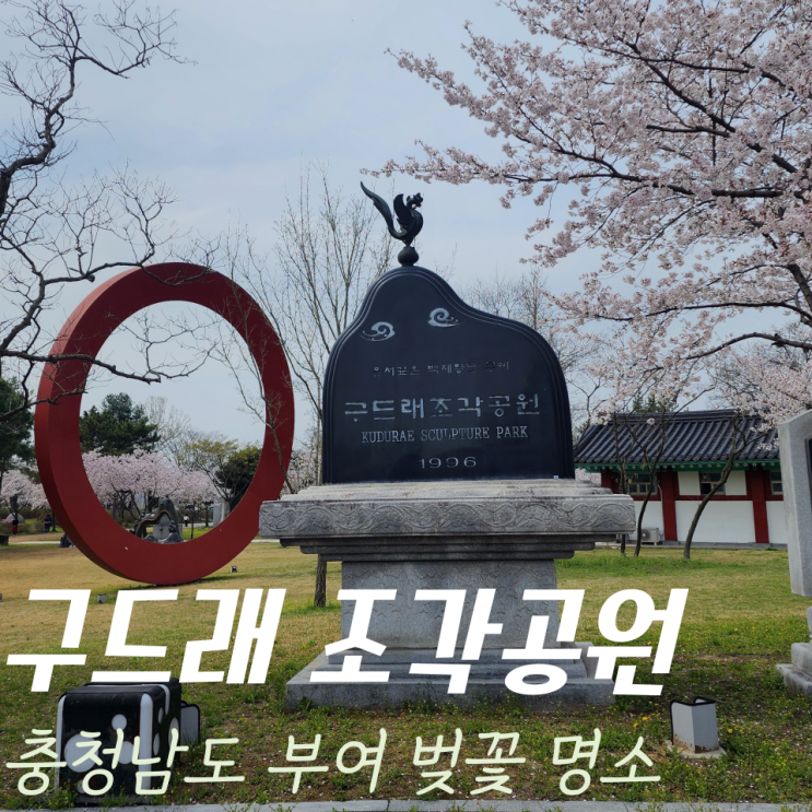 부여 벚꽃 명소 구드래조각공원 아이와 가기좋은 곳