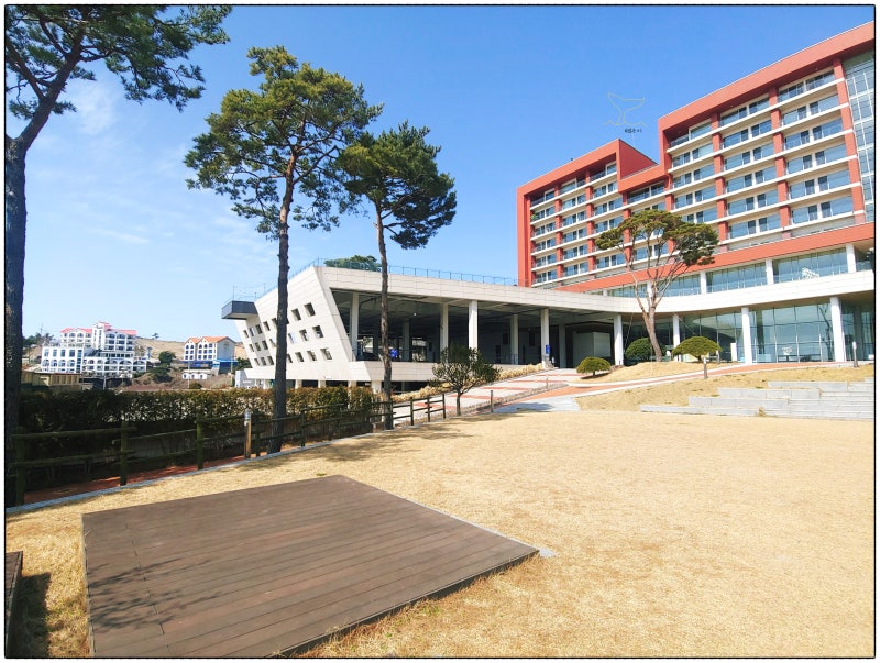 바다가 코앞에 있는 농협 변산 수련원 리조트 소개 및 객실 요금과 솔직한 이용 후기 네이버 블로그