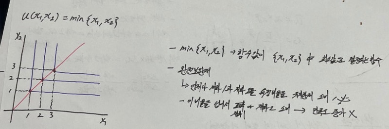 효용함수와 효용극대화 총정리 무차별곡선이 직선레온티에프콥더글라스인 경우 미시경제학 11 네이버 블로그