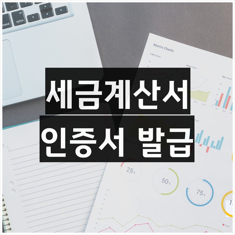 전자세금계산서 공인인증서 발급 후기 농협 국민은행 네이버 블로그