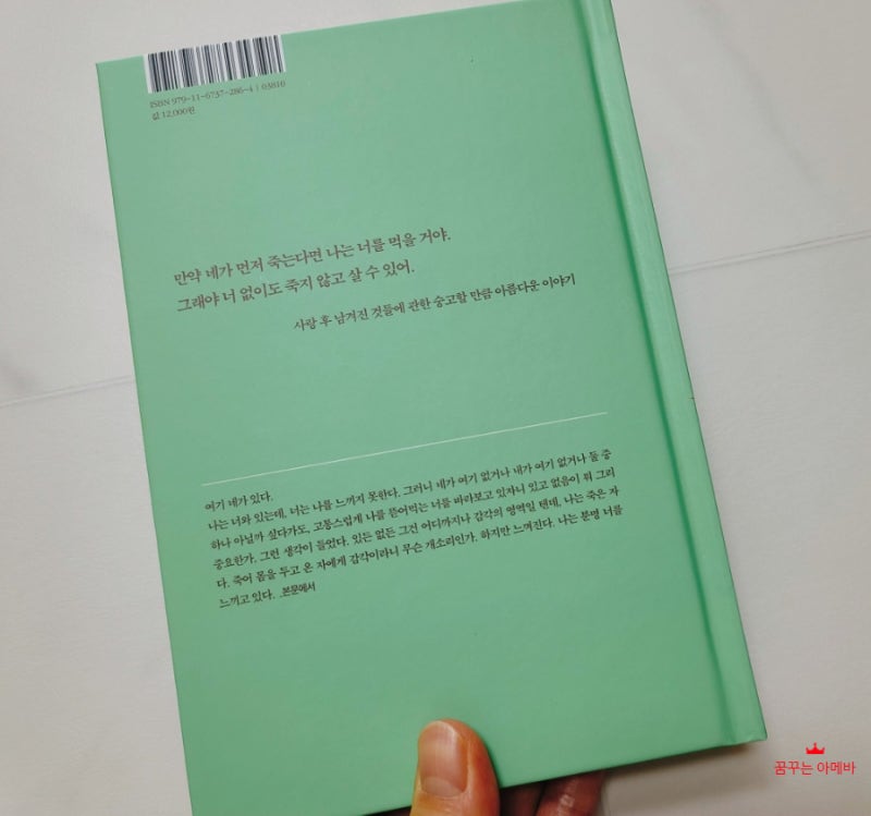 구의 증명 줄거리 해석최진영 베스트셀러 소설 네이버 블로그