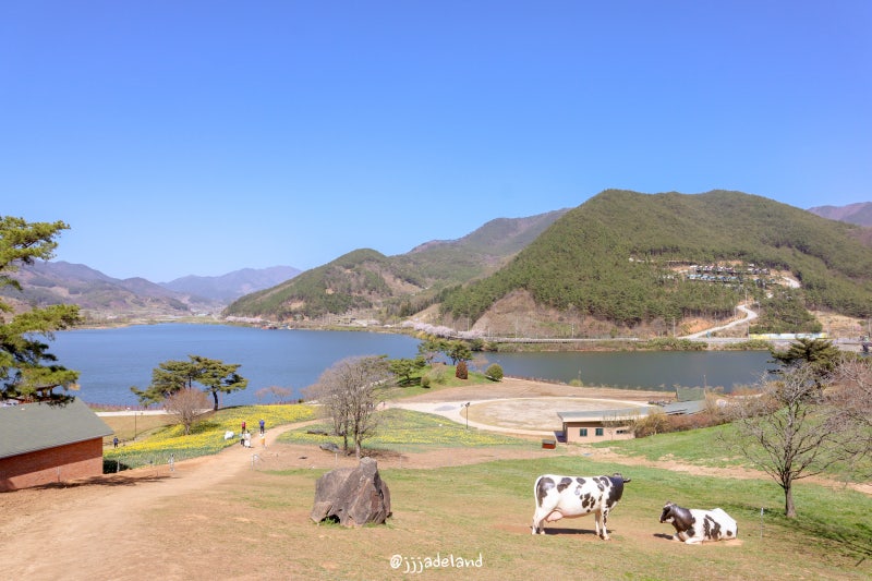 구례 여행 지리산 치즈랜드 수선화 전남 봄꽃구경 가볼만한곳 네이버 블로그