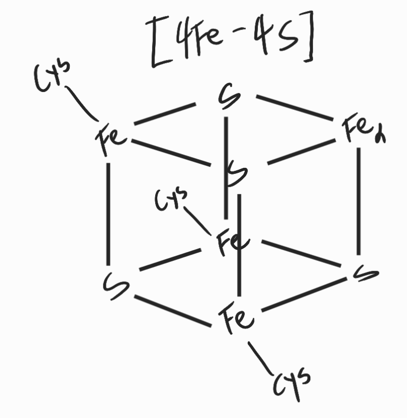 [생화학] TCA 회로(or citric acid cycle, Krebs cycle) : 네이버 블로그