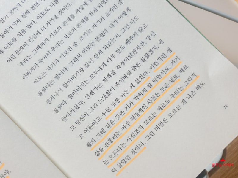 구의 증명 줄거리 해석최진영 베스트셀러 소설 네이버 블로그