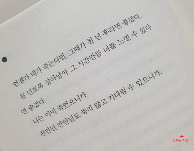 구의 증명 줄거리 해석최진영 베스트셀러 소설 네이버 블로그