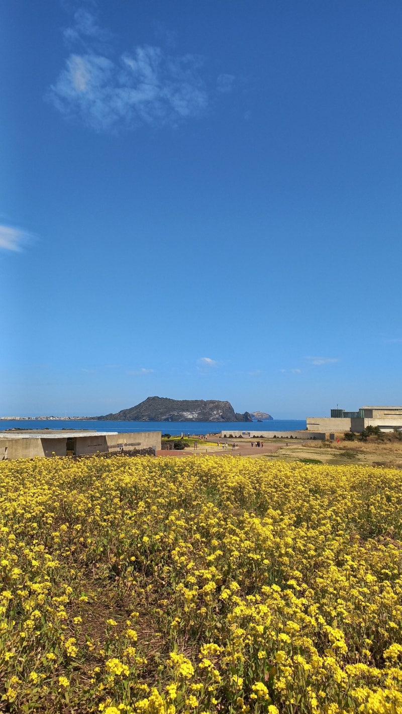 제주도 한달 살기 제주 동쪽 가볼만한 곳 섭지코지 뜻 소요시간 그랜드스윙 포토존 무료 주차정보 네이버 블로그