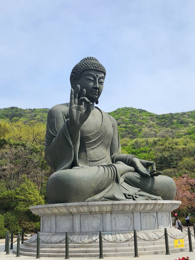 천안8경 태조산 벚꽃명소 각원사 왕겹벚꽃 구경하세요 네이버 블로그