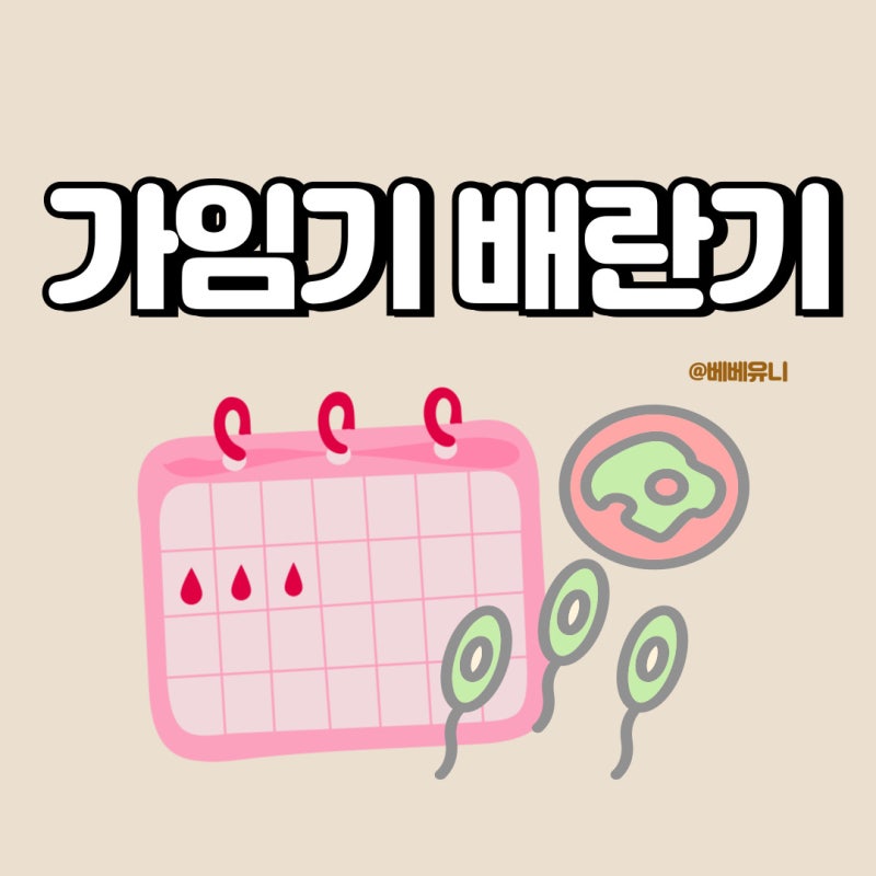 가임기 뜻 계산 임신확률 배란일 계산기 배란기 체온 계산법 네이버 블로그