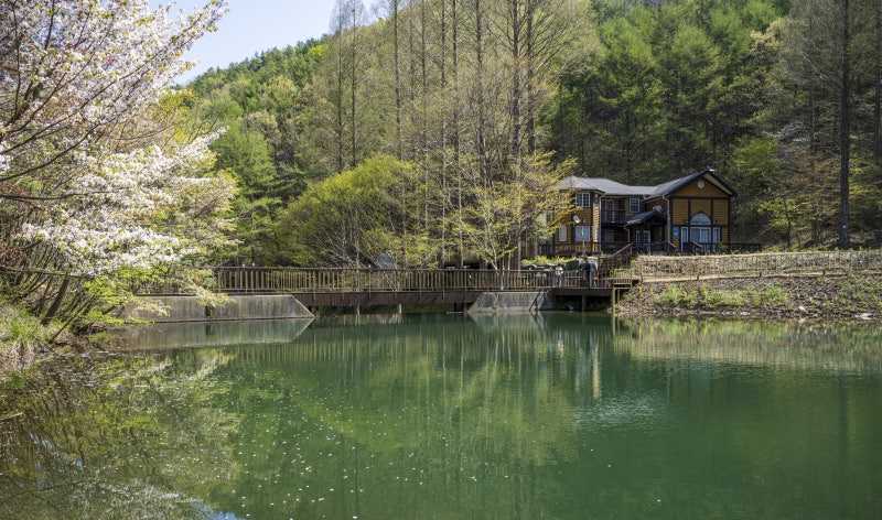 대전근교 논산 여행 사진찍기좋은곳 온빛자연휴양림 이국적인 풍경 네이버 블로그
