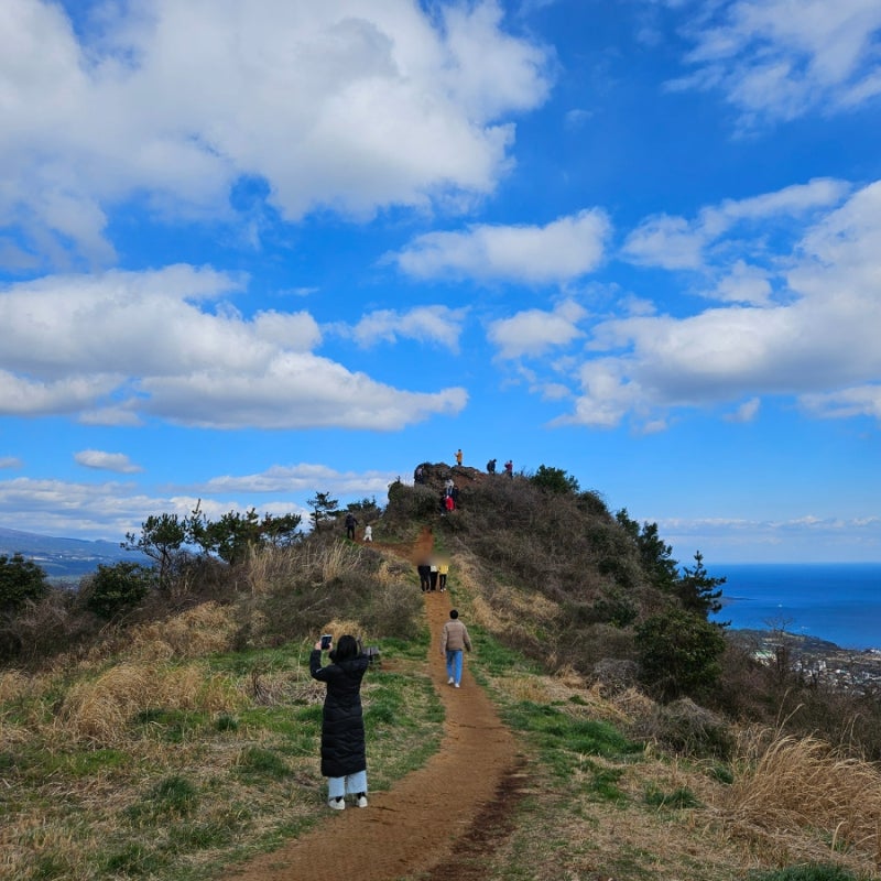 제주 서귀포 군산오름 주차장 소요시간 네이버 블로그