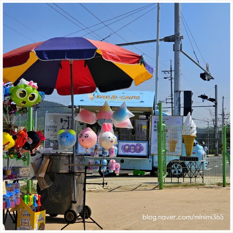 세천 늪테마공원 튤립 대구 꽃구경 데이트 가볼만한곳 네이버 블로그