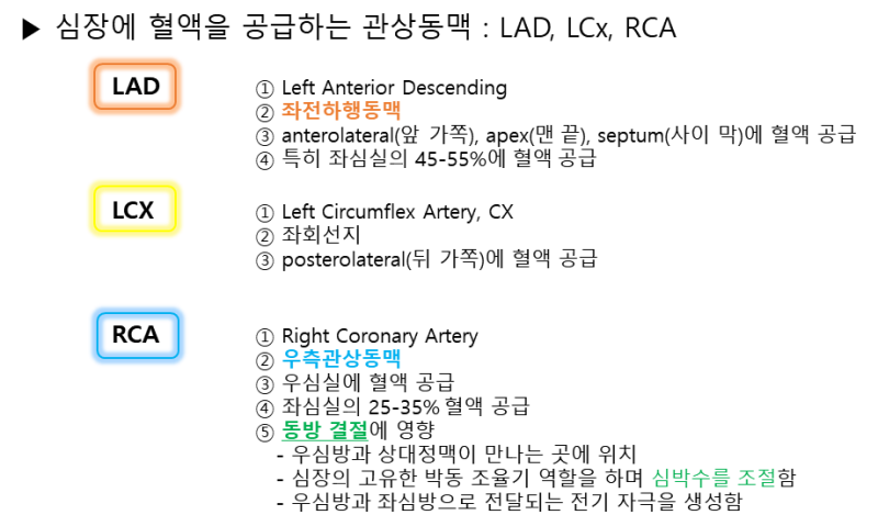 [심장 관상동맥] LAD, LCx, RCA _ 혈액순환(체순환 & 폐순환) : 네이버 블로그