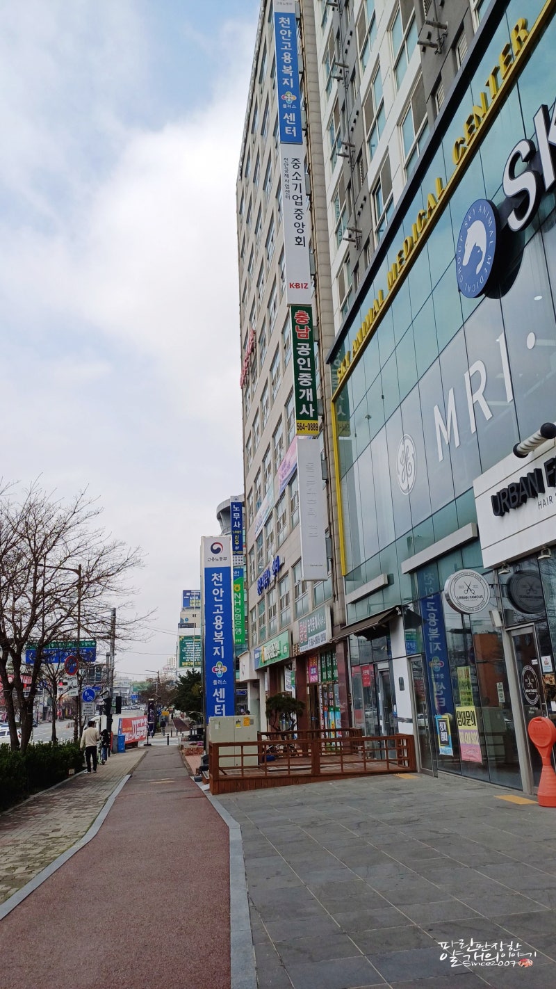2024년 국민취업지원제도 1유형 취업활동계획iap 수립 및 1차 구직촉진수당 신청 지급 네이버 블로그