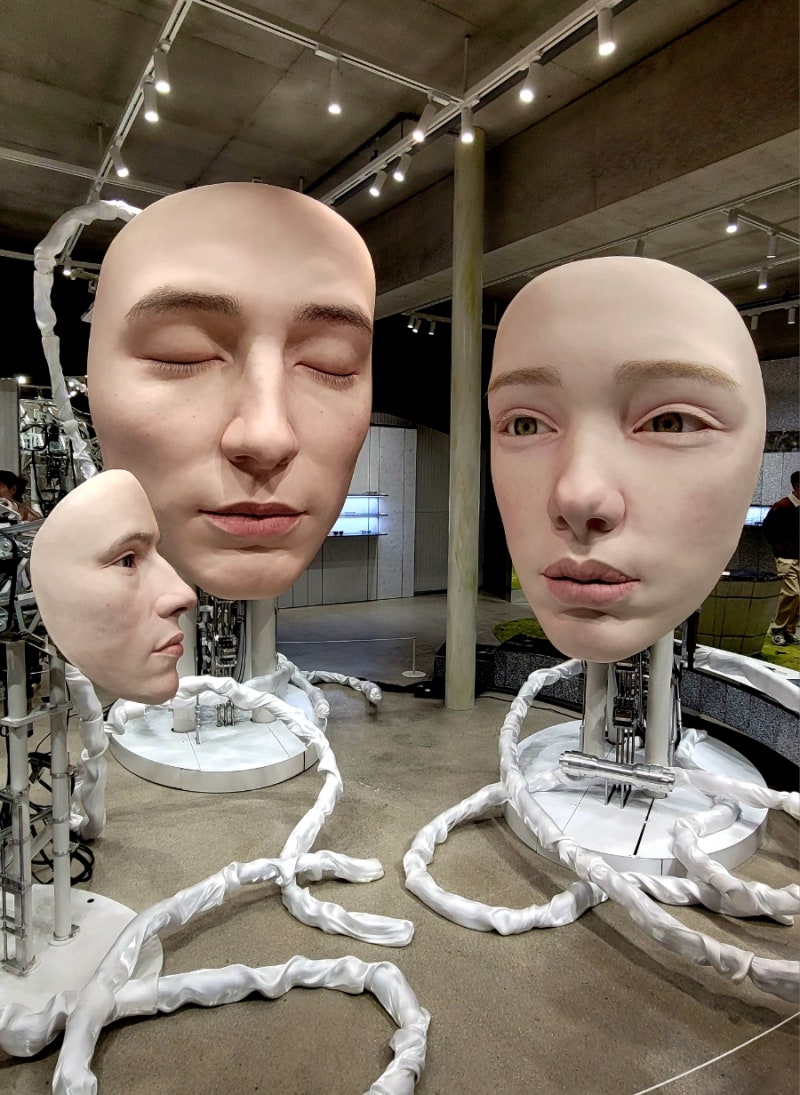젠틀몬스터하우스 도산 서울무료전시 네이버 블로그