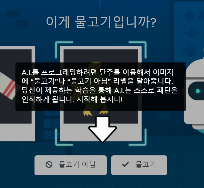 코드닷오알지, 초등 ai 수업 활용에 좋은 AI for Oceans(code.org) : 네이버 블로그
