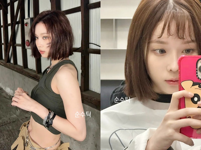 박규영 단발 레이어드컷 헤어스타일 윈터 단발머리 태슬컷 테슬컷 네이버 블로그