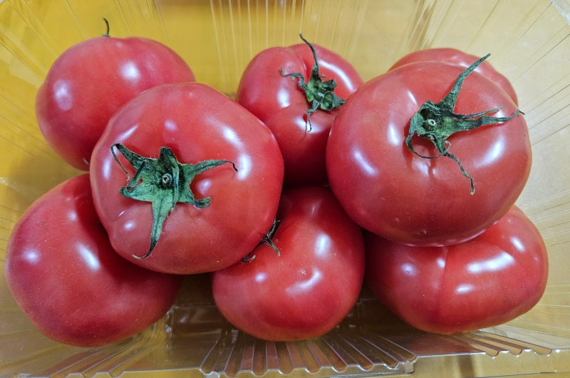 똑똑하게 토마토 보관하는 방법 3가지실온 냉장 냉동 씻는 법도 확인해요 네이버 블로그