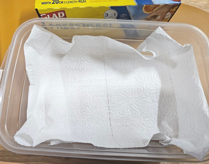 똑똑하게 토마토 보관하는 방법 3가지실온 냉장 냉동 씻는 법도 확인해요 네이버 블로그