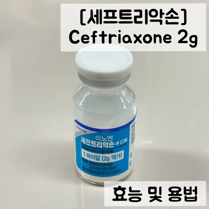 간호: 약물 항생제 세프트리악손[Ceftriaxone 2g] 효능 및 용법 : 네이버 블로그