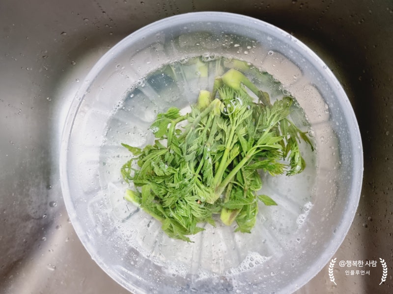 참두릅 두릅나물무침 레시피 두릅된장무침 만드는법 참두릅가시 손질 참두릅데치기 네이버 블로그