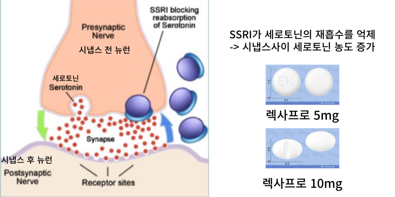 렉사프로정5mg 10mg 효능 효과 우울 불안 강박 복용법 부작용 임산부 네이버 블로그