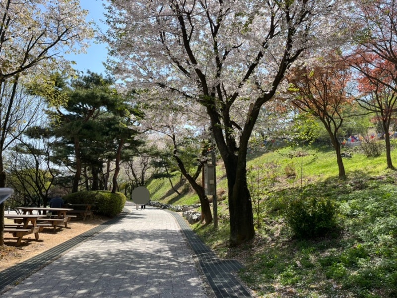 김포 아이와 갈만한 곳 여름이 기다려지는 태산패밀리파크 네이버 블로그