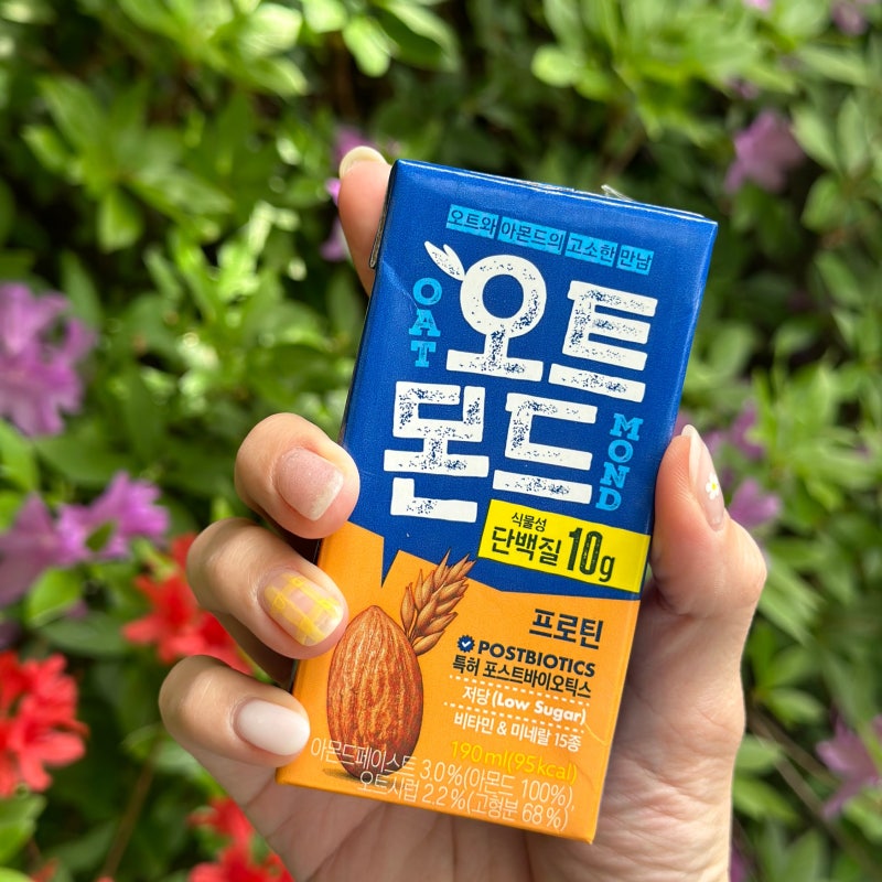 오트몬드 식물성음료 신제품 오리지널 초코 프로틴 비교 네이버 블로그