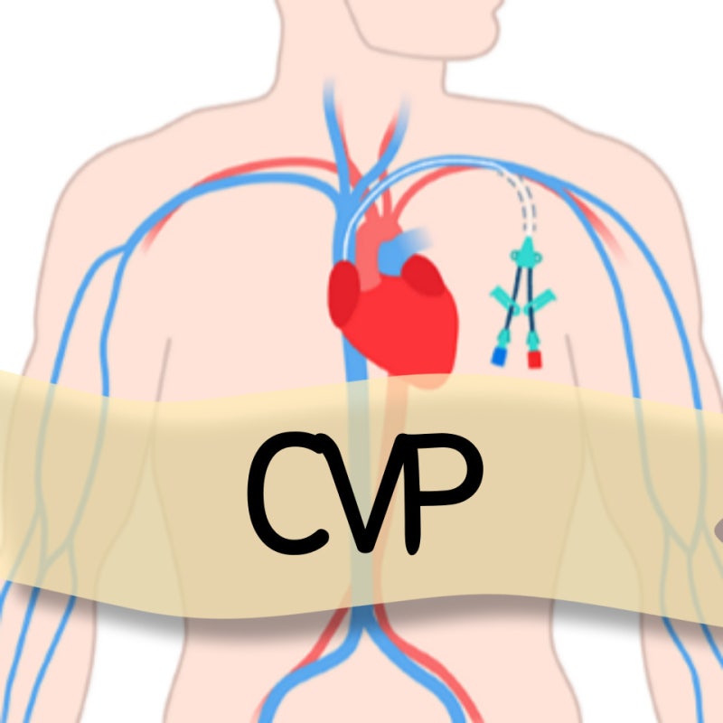 네이버 인플루언서