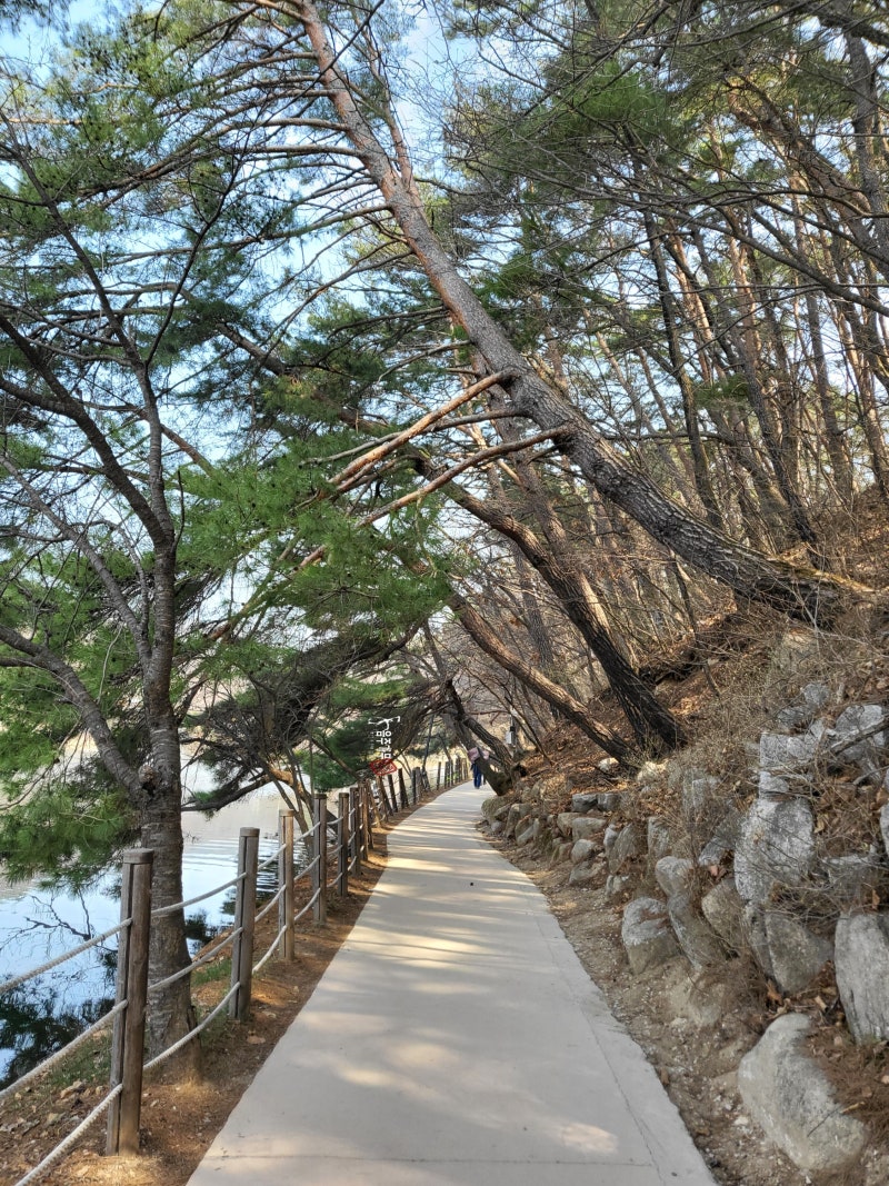 경기도 포천 가볼만한곳 산정호수 둘레길 네이버 블로그
