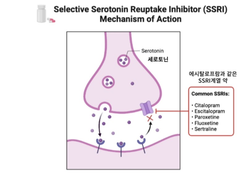 렉사프로정5mg 10mg 효능 효과 우울 불안 강박 복용법 부작용 임산부 네이버 블로그