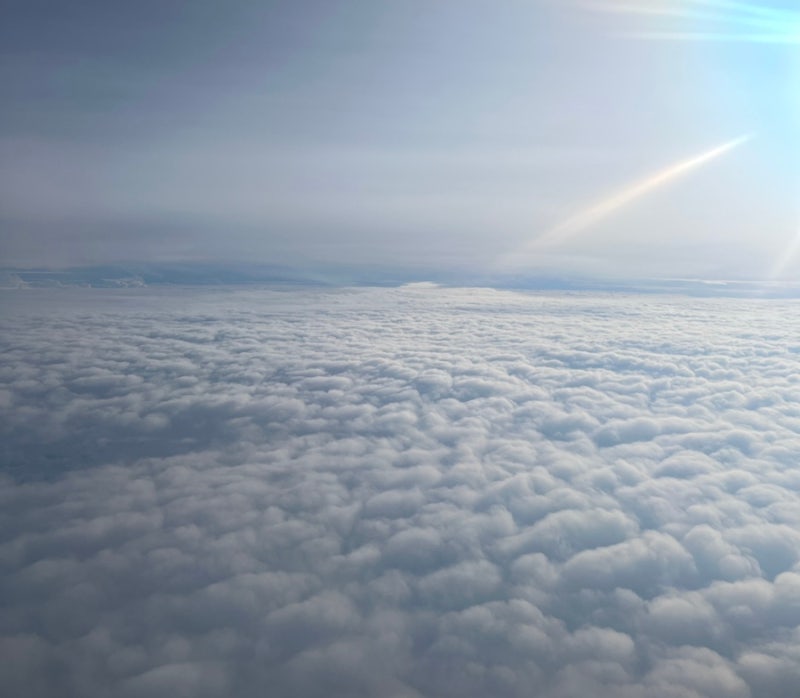 호주 시드니 여행 티웨이 항공 비즈니스 탑승 후기 - 티웨이 TW501 호주 직항, 티웨이 멤버십 프리미엄 플러스로 비즈니스 ...