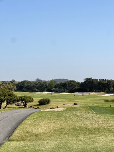 파인스톤cc 후기 아름다운 조경과 재미있는 코스 서해안 골프장 추천 : 네이버 블로그