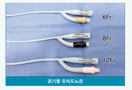 foley catheter(유치도뇨관) 필수 간호지식ㅣ목적, 주의사항, 카테터 종류와 굵기, 교체시기 : 네이버 블로그