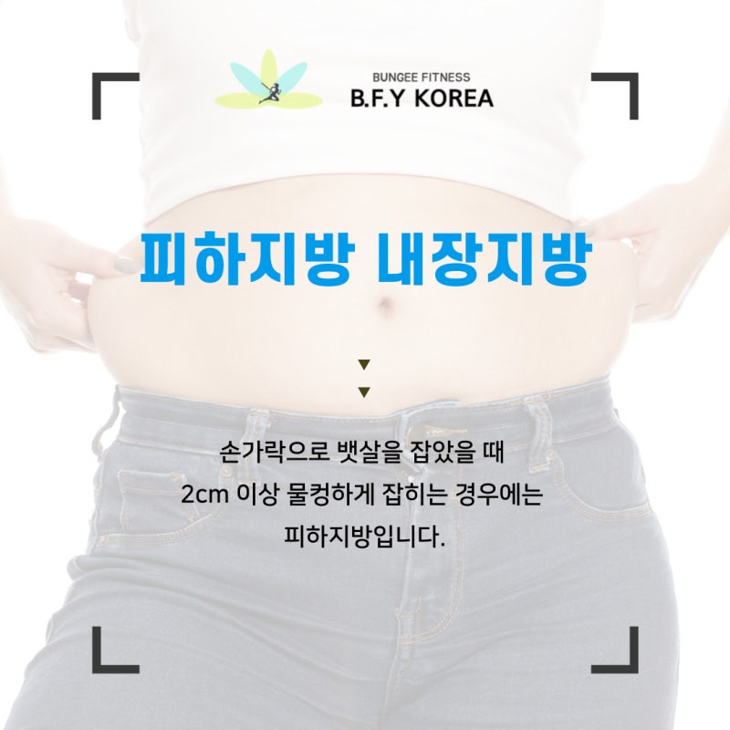 피하지방 내장지방 어떤 걸 빼야 할까 네이버 블로그