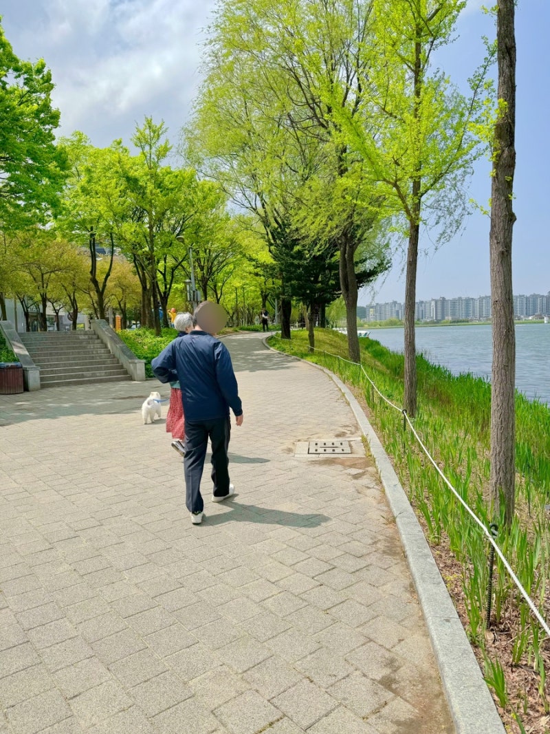 대구 수성못 여행코스 가볼만한곳 추천 네이버 블로그