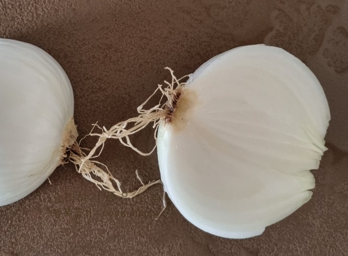 햇양파로 만드는 양파스프 프렌치어니언수프 레시피 울지 않고 양파 썰기 네이버 블로그