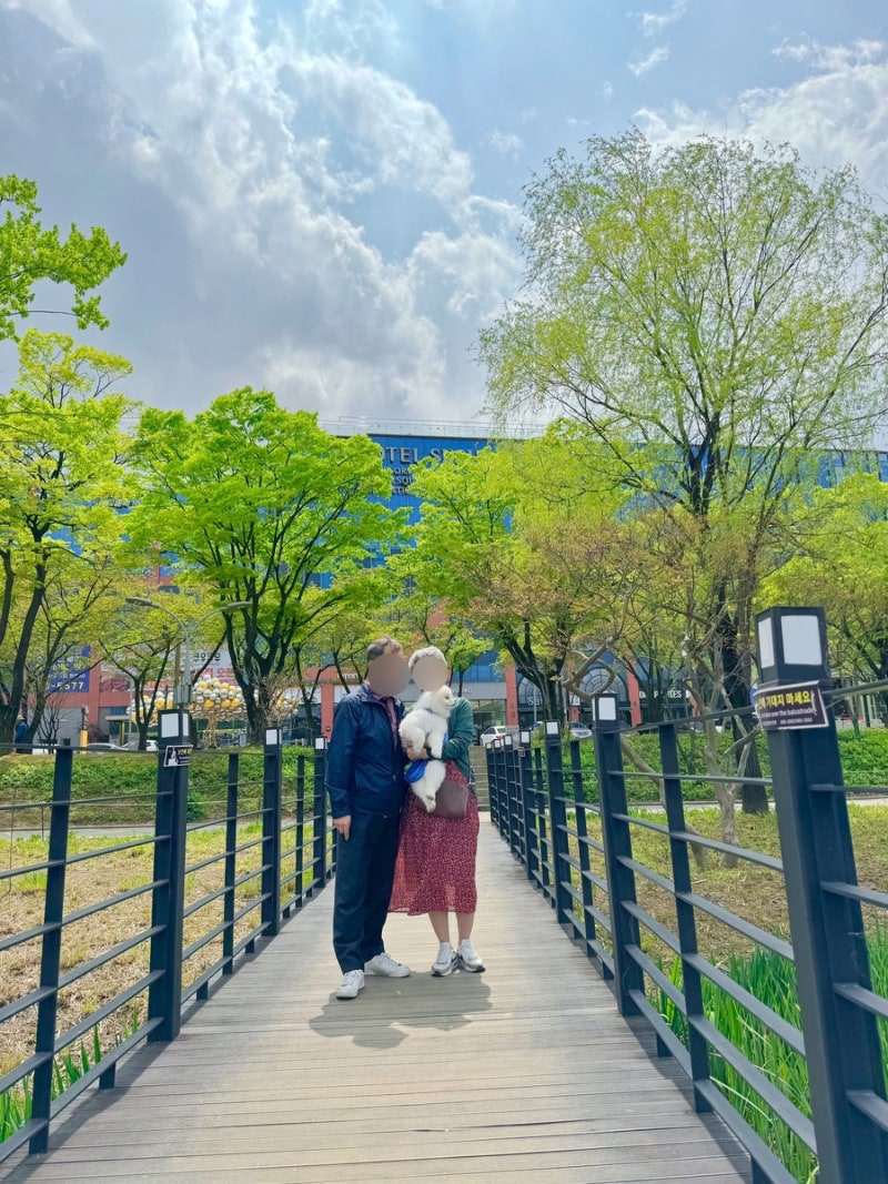 대구 수성못 여행코스 가볼만한곳 추천 네이버 블로그