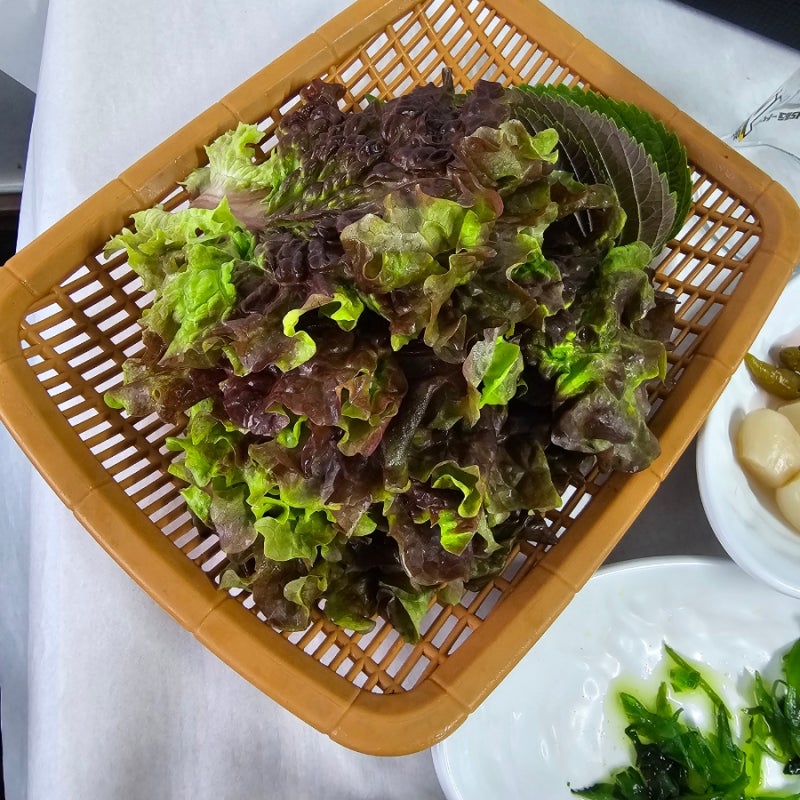 부산 해운대 횟집 미포 바다뷰 맛집 이씨할매횟집 내돈내산 네이버 블로그