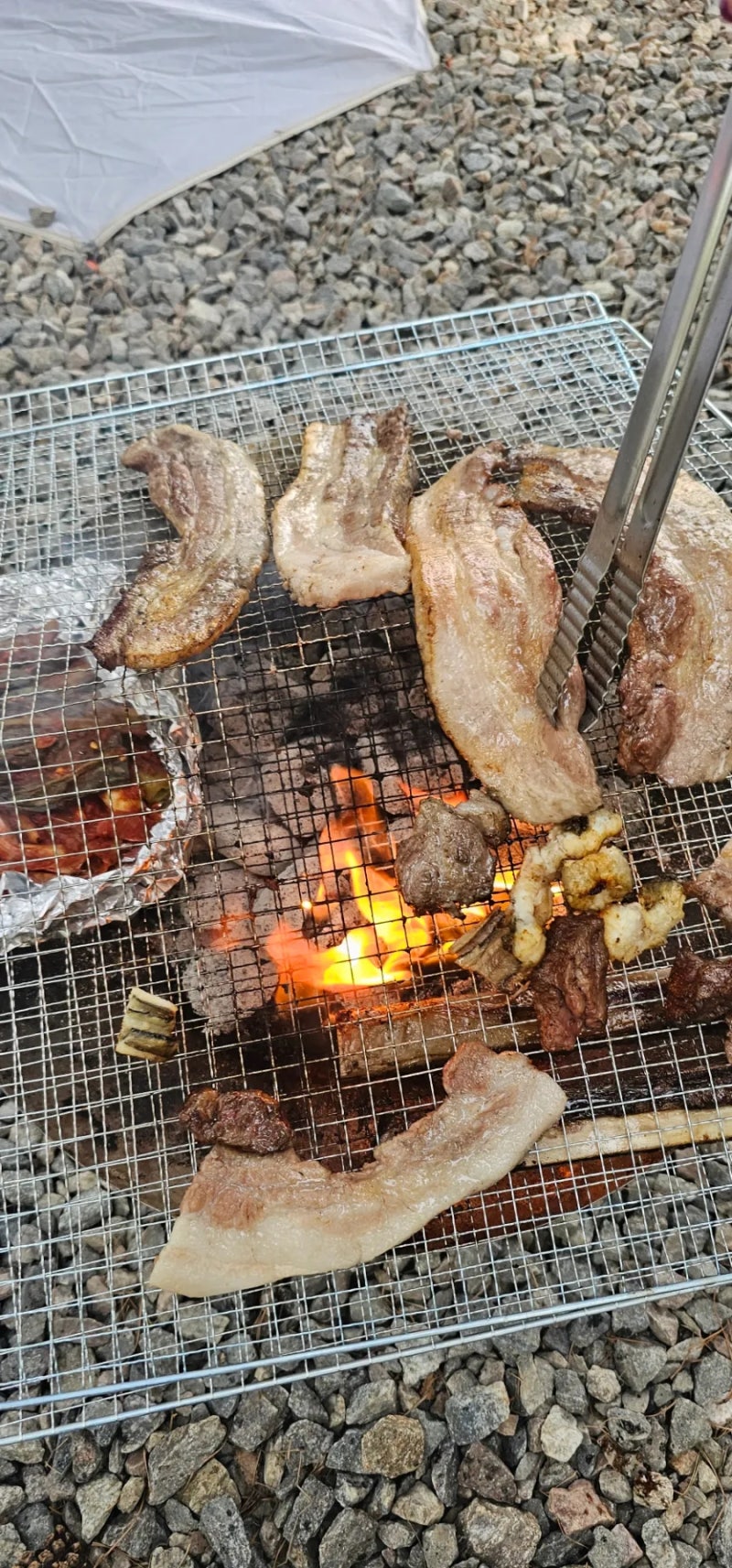 환상적 캠핑장소 평택 고덕 소풍정원예약 및 사이트 특징 네이버 블로그