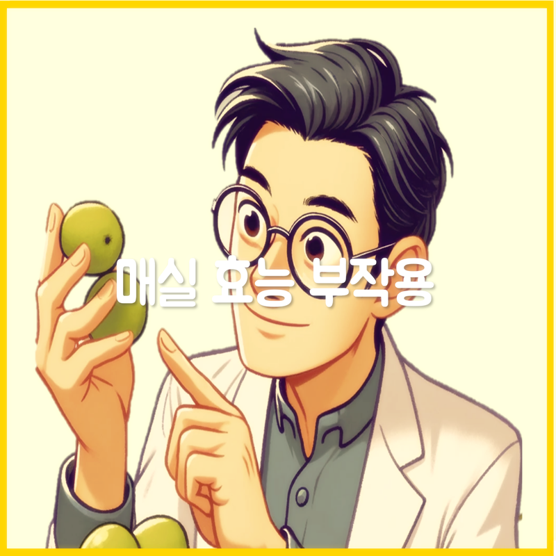 매실 효능 부작용 매실액 알려 드려요 네이버 블로그
