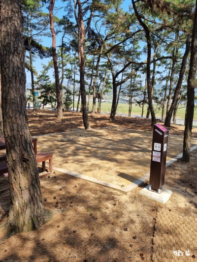 부안 변산반도 고사포 특화 야영장 34번 방문 총정리 방문일 4월 13일 조개잡이 네이버 블로그