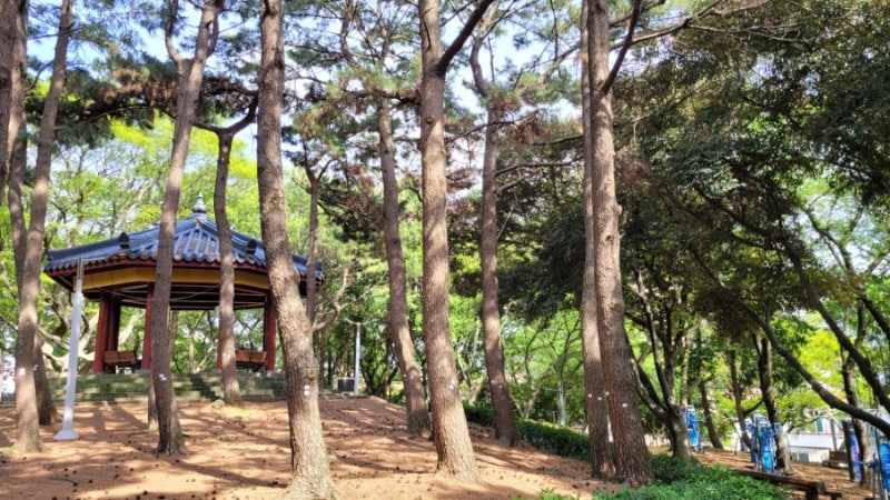 제주의 삼무三無 공동체 문화 삼무정신을 기리는 삼무공원 네이버 블로그