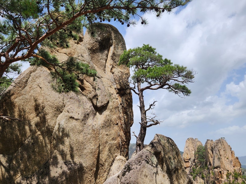 두타산 무릉계곡 베틀바위 산성길 등산코스 무릉계곡 관리소 베틀바위전망대 12산성폭포 용추폭포쌍폭포 관리소