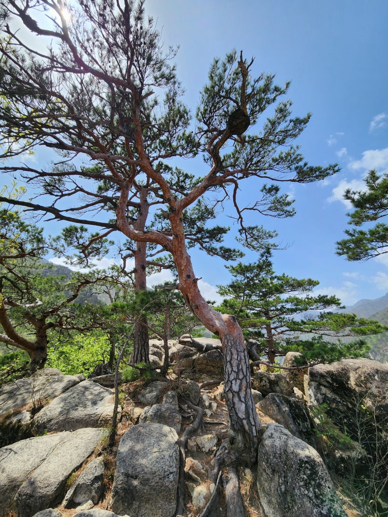 두타산 무릉계곡 베틀바위 산성길 등산코스 무릉계곡 관리소 베틀바위전망대 12산성폭포 용추폭포쌍폭포 관리소