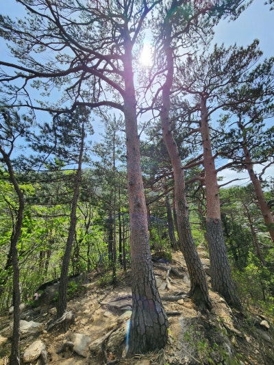 두타산 무릉계곡 베틀바위 산성길 등산코스 무릉계곡 관리소 베틀바위전망대 12산성폭포 용추폭포쌍폭포 관리소
