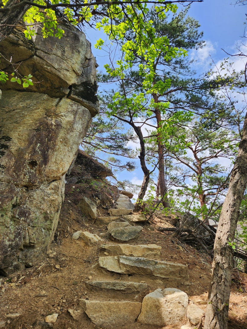 두타산 무릉계곡 베틀바위 산성길 등산코스 무릉계곡 관리소 베틀바위전망대 12산성폭포 용추폭포쌍폭포 관리소