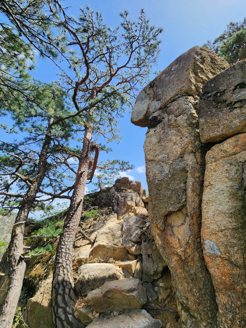 두타산 무릉계곡 베틀바위 산성길 등산코스 무릉계곡 관리소 베틀바위전망대 12산성폭포 용추폭포쌍폭포 관리소